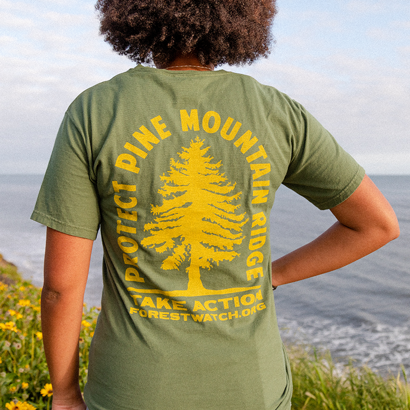 UCSB Felt Champ Crew [discontinued] - Island View Outfitters