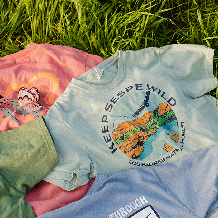 UCSB Dad Cap - Navy Script - Island View Outfitters